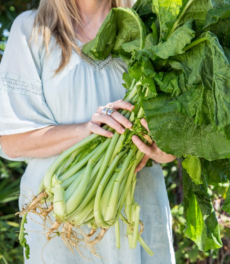 Lucy Buffett - Restaurateur, Chef, Author and Crazy Sista